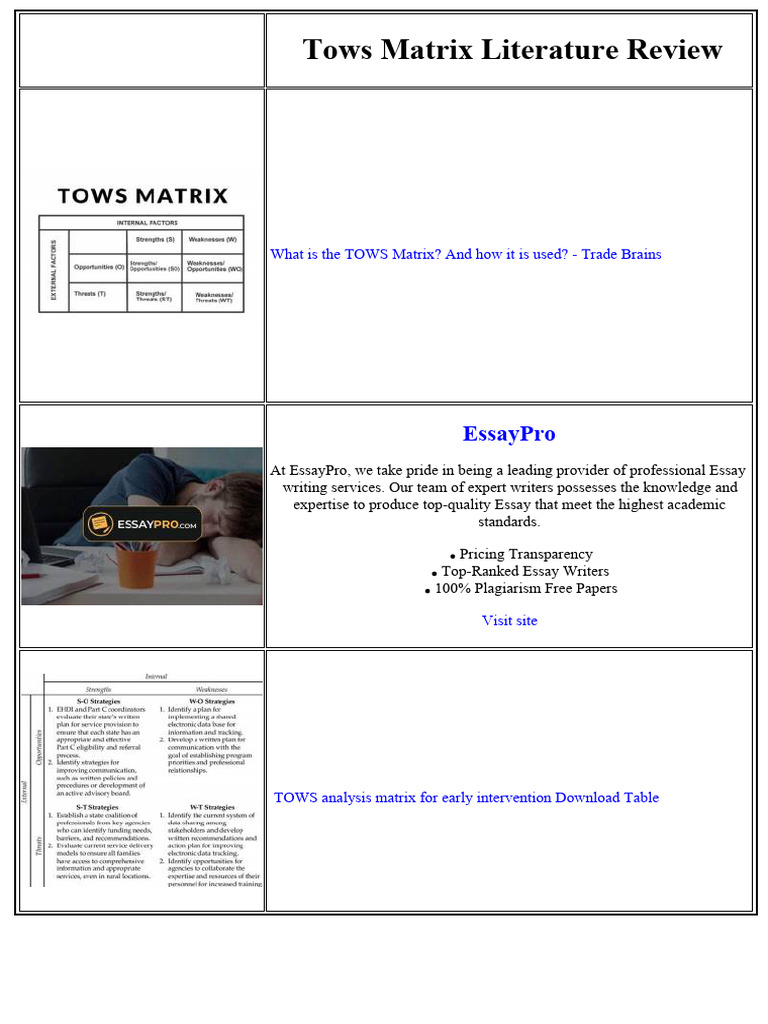 Tows Matrix Literature Review | PDF | Swot Analysis | Business