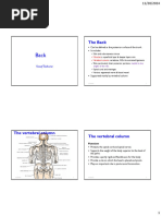 Vertebral Levels and Landmarks | PDF