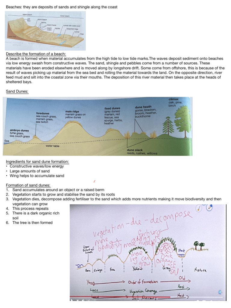 Coastal Depositional Landforms Explained | PDF