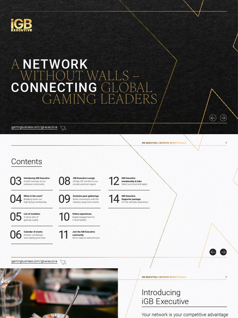 iGB Executive: Exclusive Gaming Network | PDF | Startup Company | Small ...