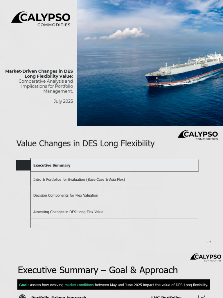 Calypso Commodities Case Study 1752456152 | PDF | Simulation ...