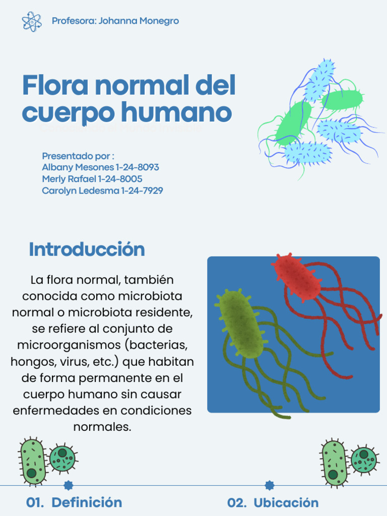 Flora Normal Del Cuerpo Humano PDF | PDF | Organismos | Especialidades ...