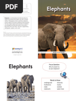 Elephants: Species, Behavior, and Habitat | PDF | Elephant