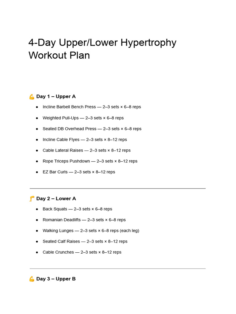 4 Day Workout Plan | PDF