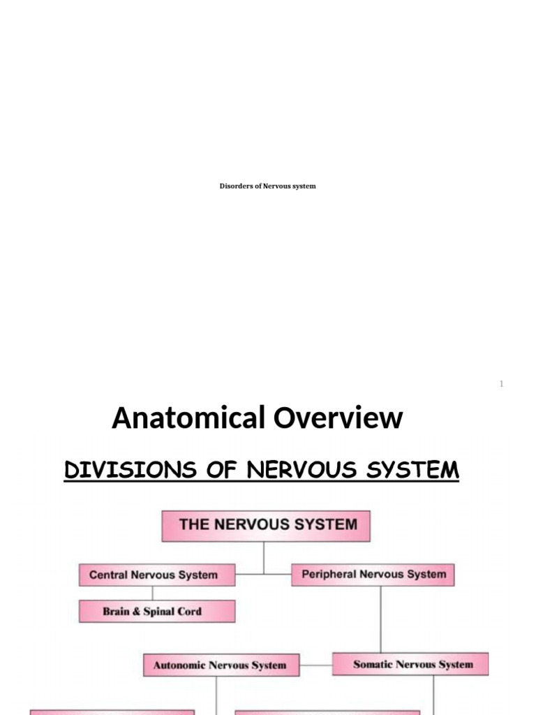 Disorders of The Nervous System | PDF | Stroke | Ischemia