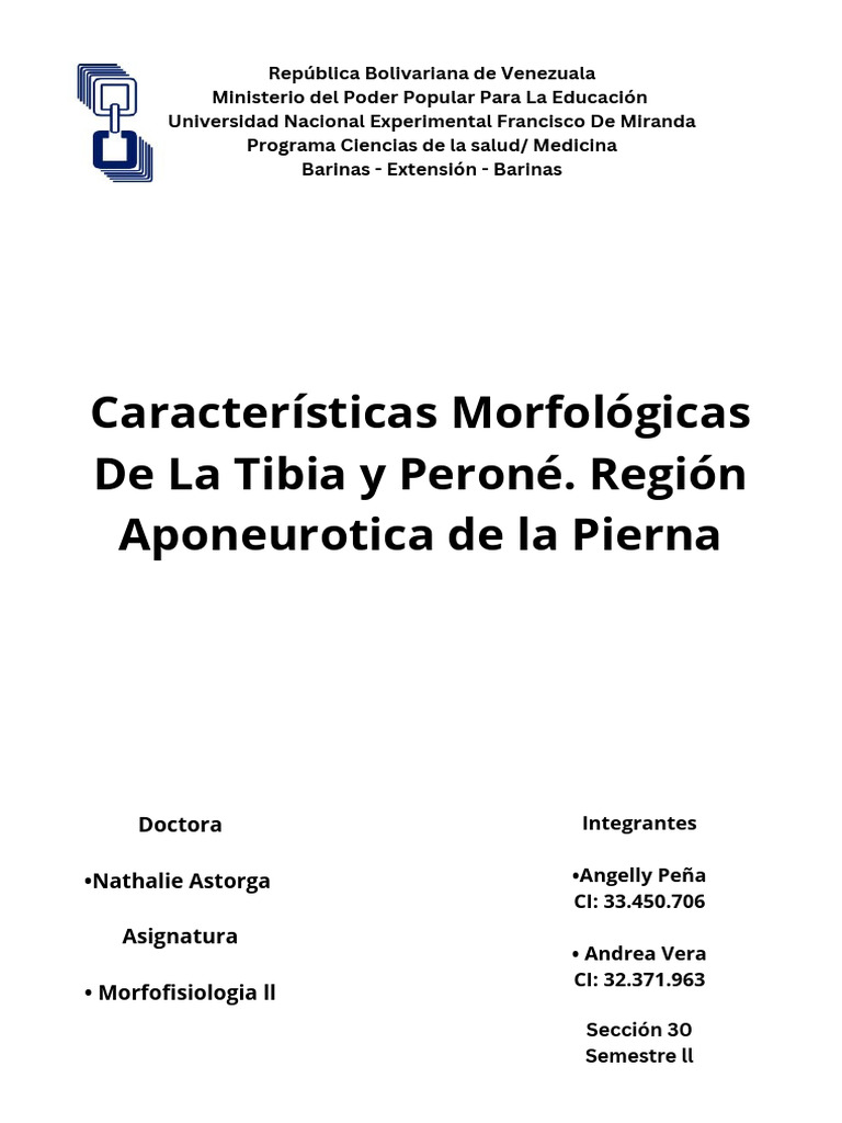 Morfología de Tibia y Peroné en la Pierna | PDF | Tobillo ...