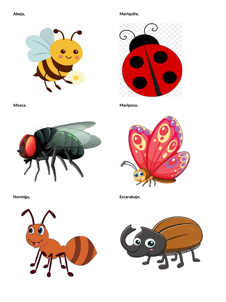 15 Insectos | PDF