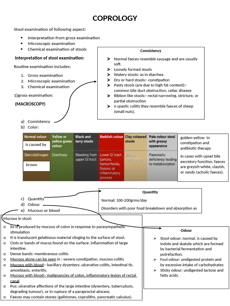 Stool Examination and Analysis Guide | PDF | Human Feces | Digestion
