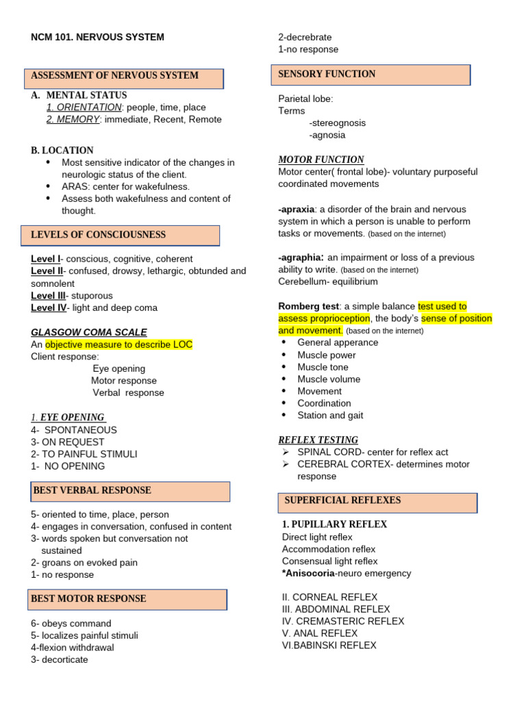 Nervous System Assessment Guide | PDF | Nervous System | Neuroscience