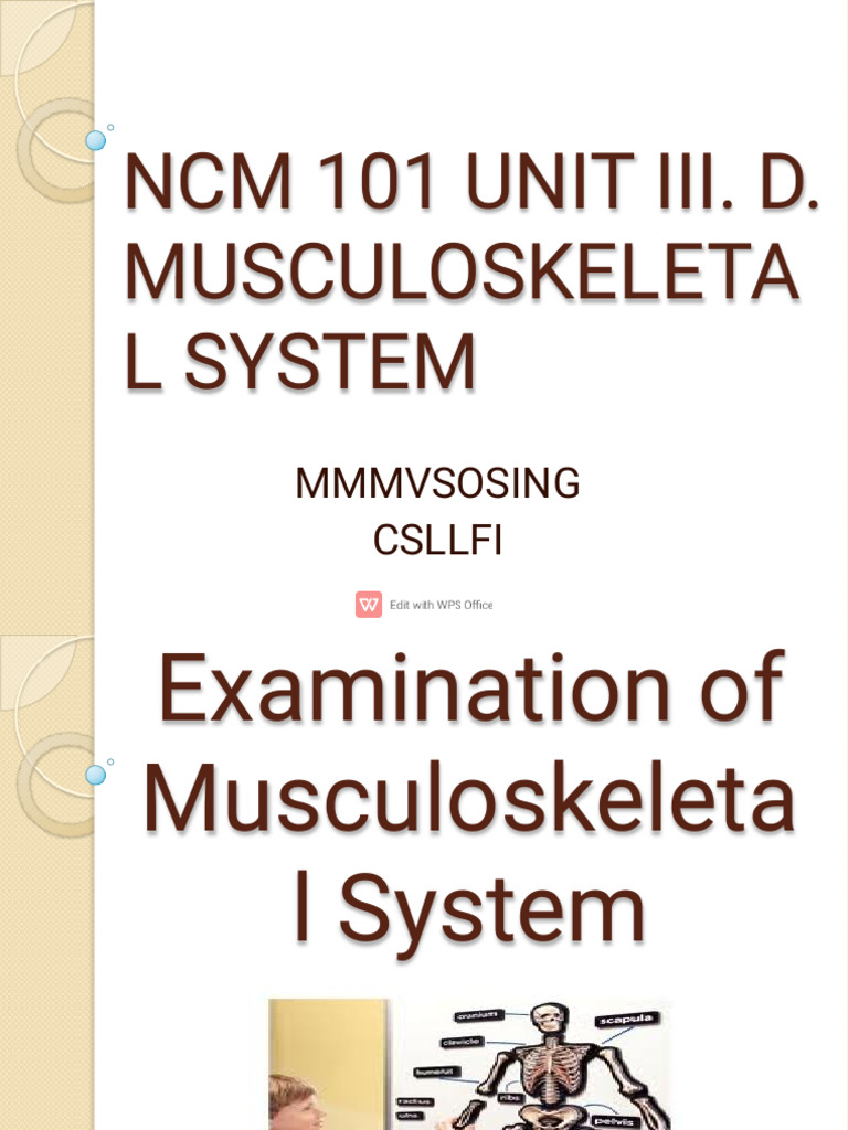 Musculoskeletal Assessment Guide | PDF | Anatomical Terms Of Motion ...