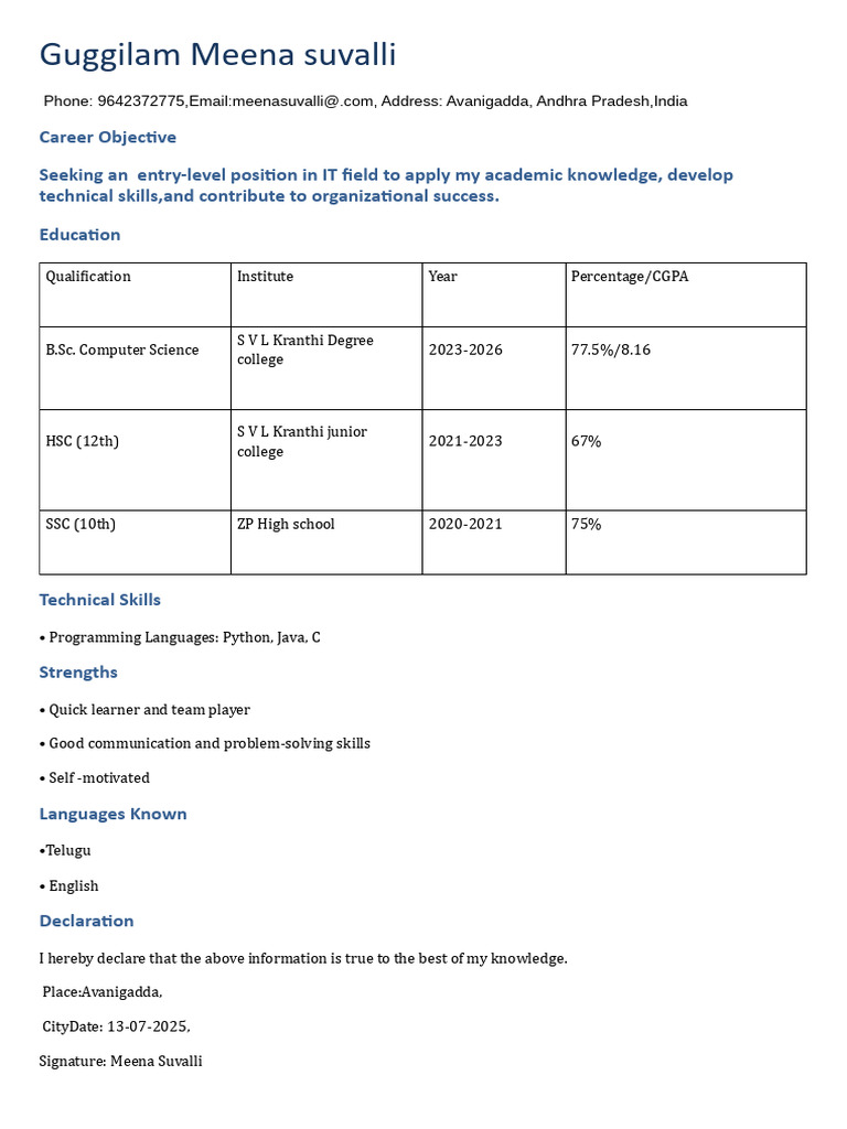 Resume_Format (1).docx_20250713_175839_0000 | PDF