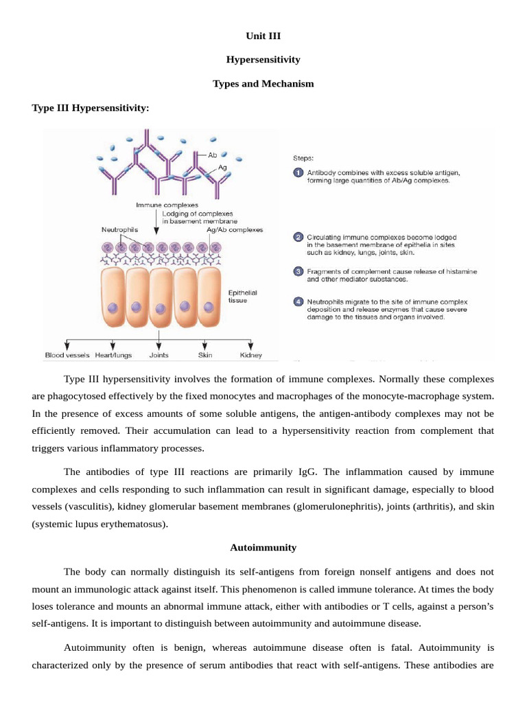 Hypersensitivity Mechanism | PDF | Autoimmunity | Immune Tolerance