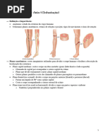 Aula 4 - Termos de Posição e Movimento | PDF | Movimentos anatômicos ...
