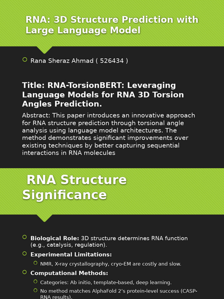 Rana Sheraz Ahmad (526434) | PDF | Rna | Molecular Biology