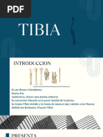 Anatomía de la Tibia: Estructura y Funciones | PDF | Anatomía humana ...