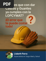 La Pirámide Del Control de Riesgos | PDF | Riesgo | Solvente