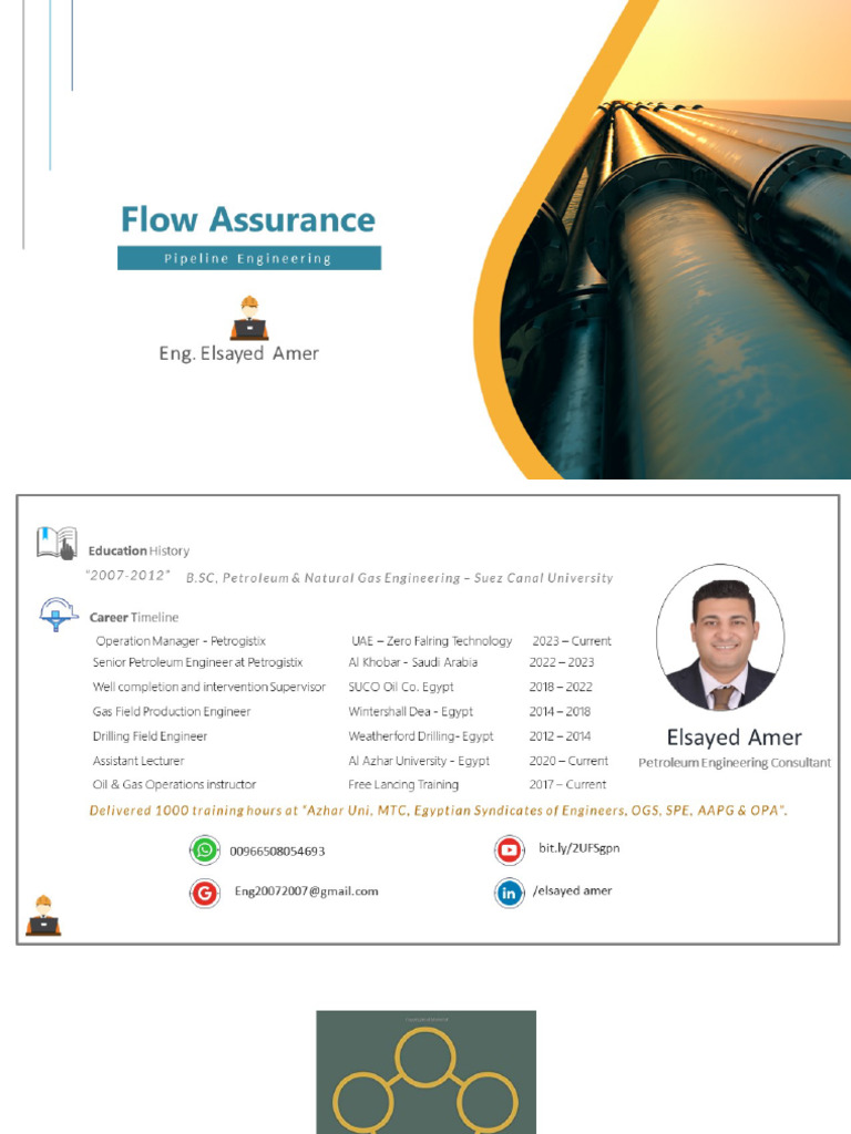 Pipeline Flow Assurance 1751631013 | PDF