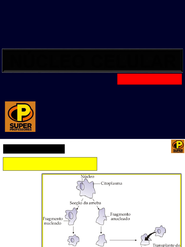 Componentes Do Núcleo | PDF