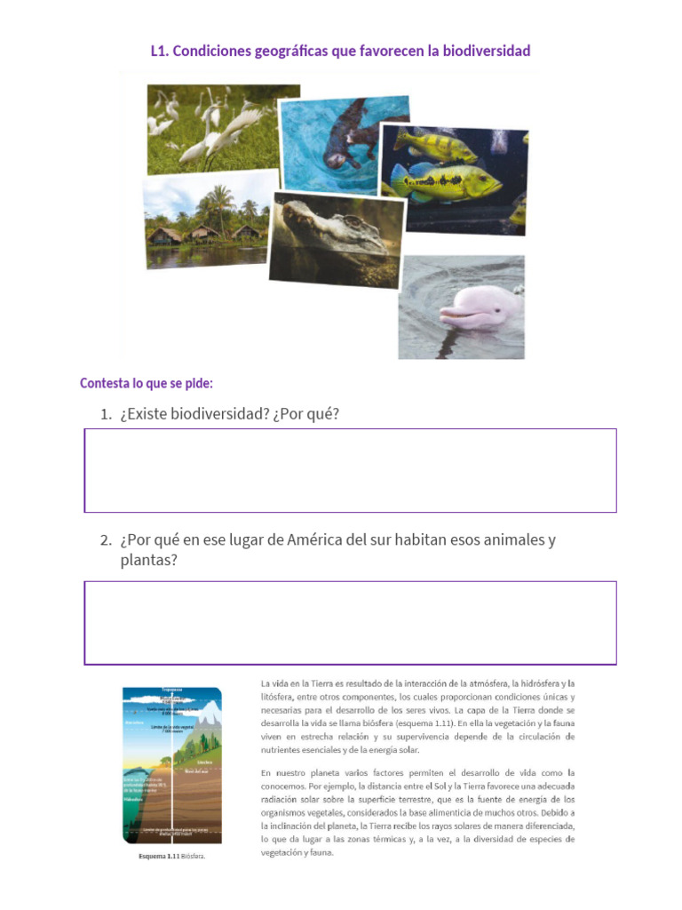 Bio Divers I Dad | PDF