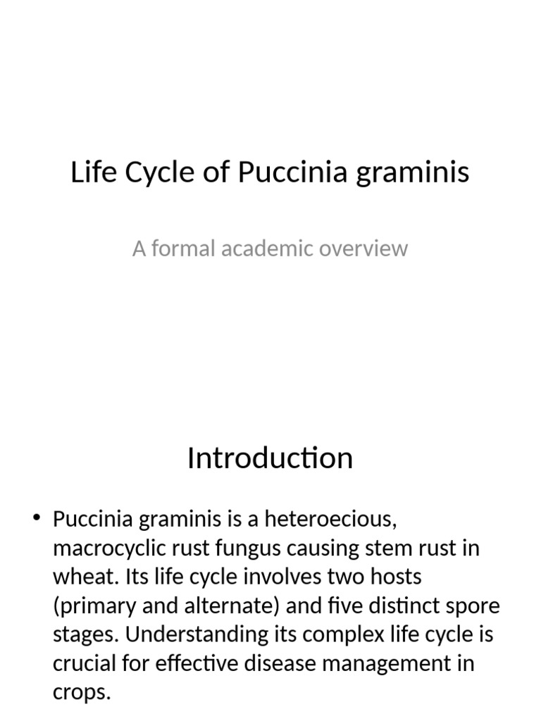Life Cycle of Puccinia graminis Explained | PDF