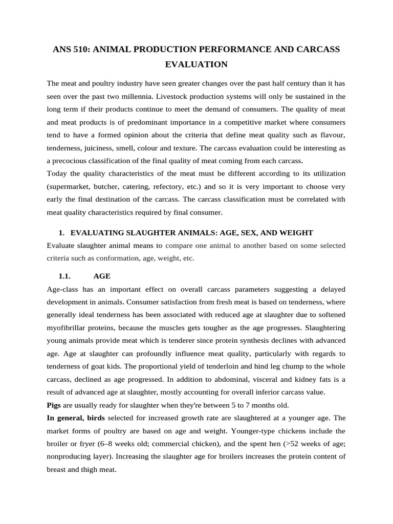 Animal Production and Carcass Evaluation | PDF | Meat | Sheep