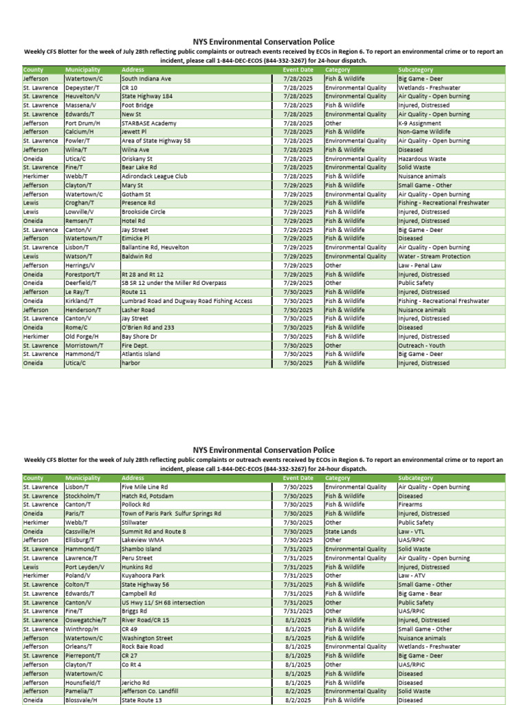 DEC Region 6 Police Activity July 28 - Aug. 3, 2025 | PDF ...
