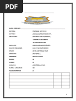 ISIXHOSA - Grade 9 GEC Int Proj 2023 Learners Workbook | PDF | Career ...