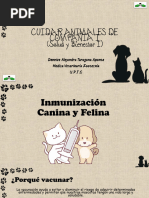 Pfizer Vanguard SP Final | PDF | Vacunas | Virus