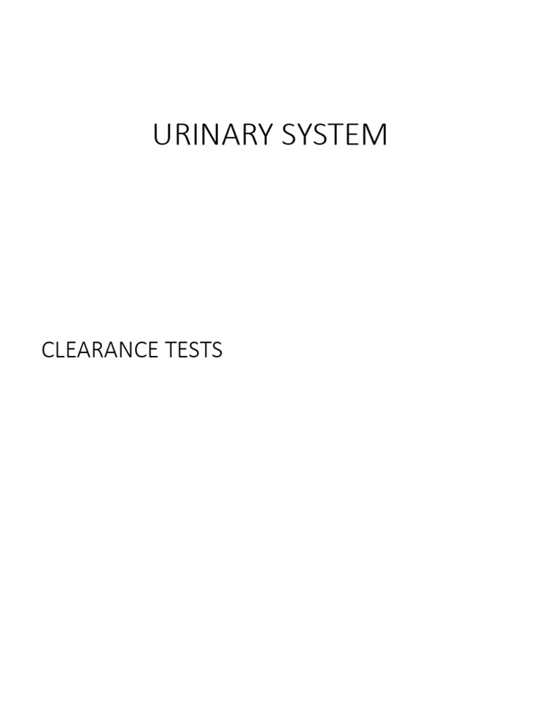 Urinary System | PDF