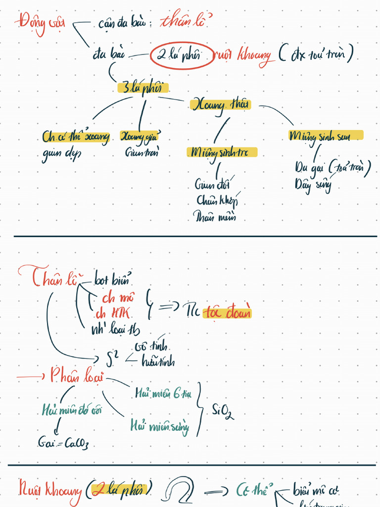 Đa D NG ĐV - 240424 - 000235 | PDF