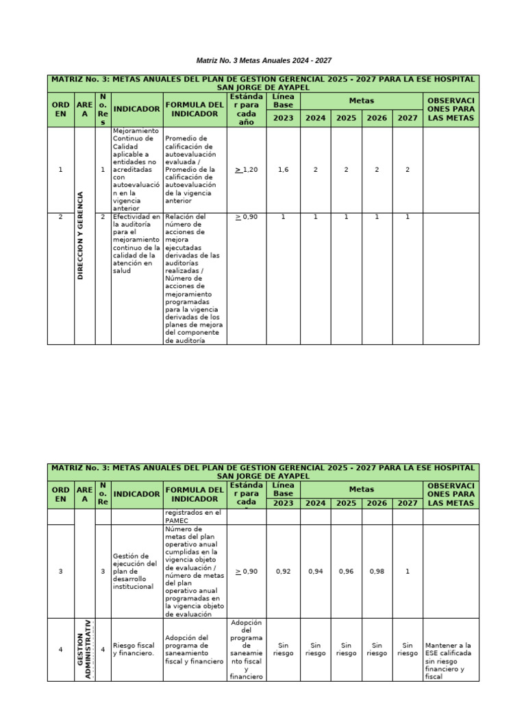 Matriz Metas anuales del Plan de Gestion | PDF | Hospital | Especialidades Medicas