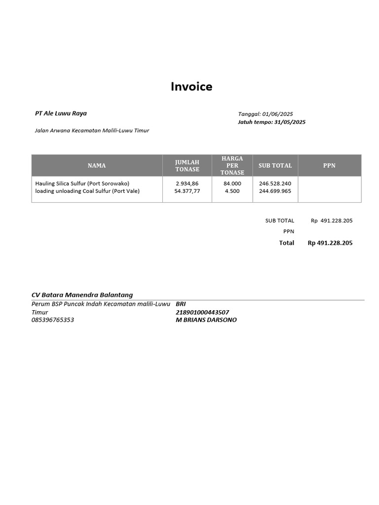 Juni 2025 Invoice | PDF
