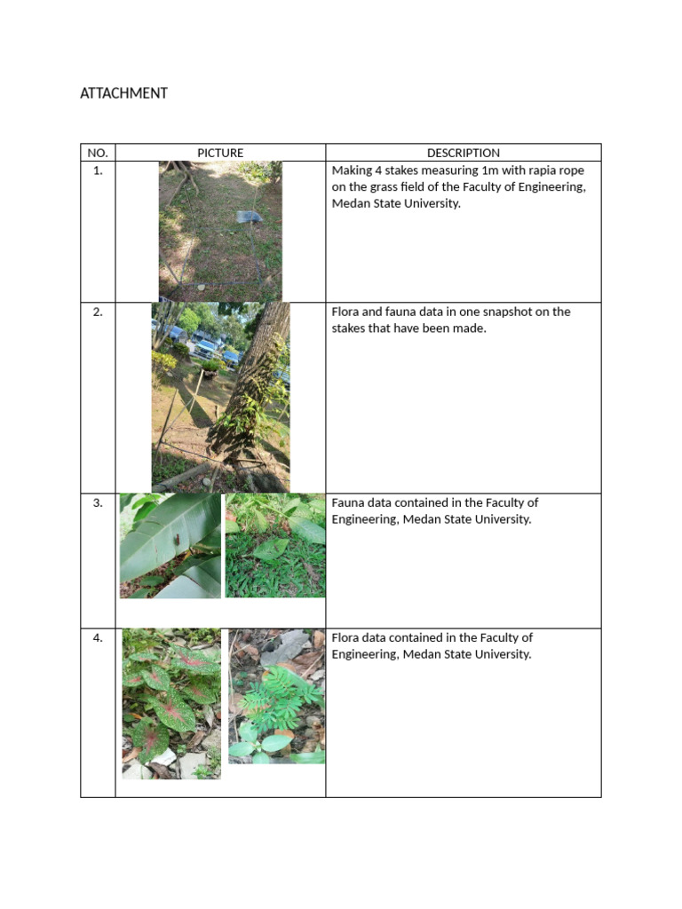 Flora and Fauna Data at Medan University | PDF