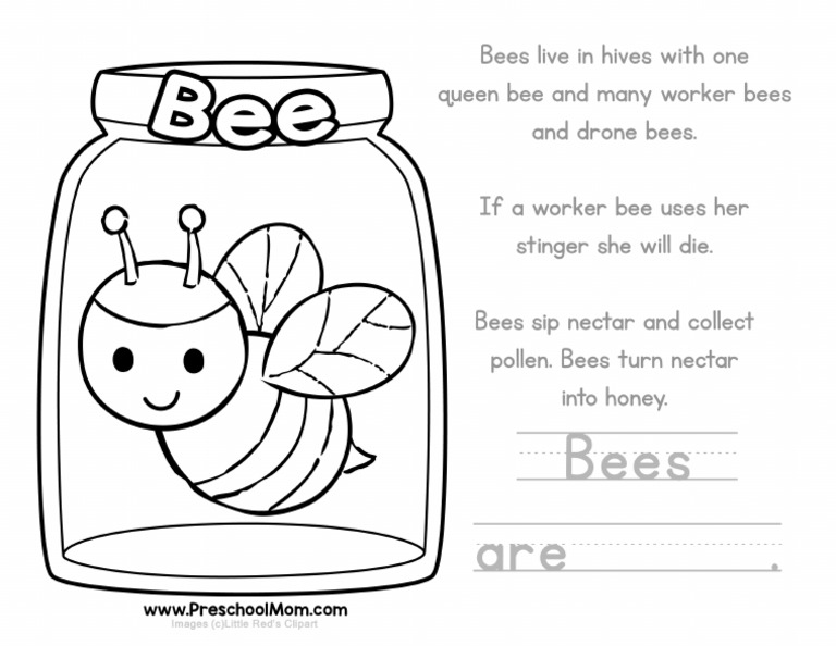Color Bee | PDF