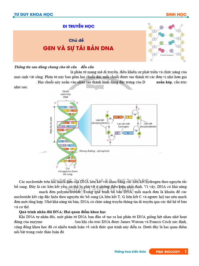 DOC-20250707-WA0000_250707_203040 | PDF