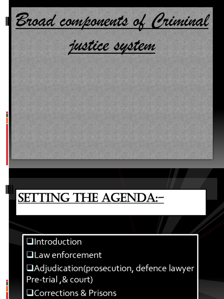Overview of Criminal Justice System | PDF | Prosecutor | Trials
