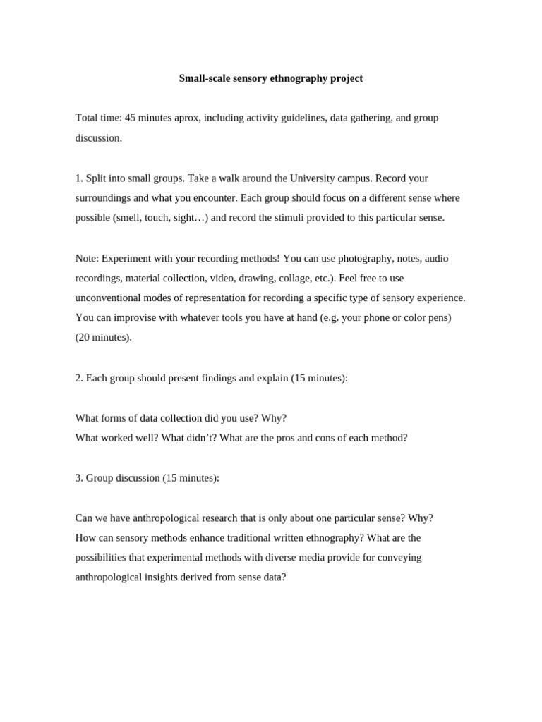 Small-Scale Sensory Ethnography Project | PDF