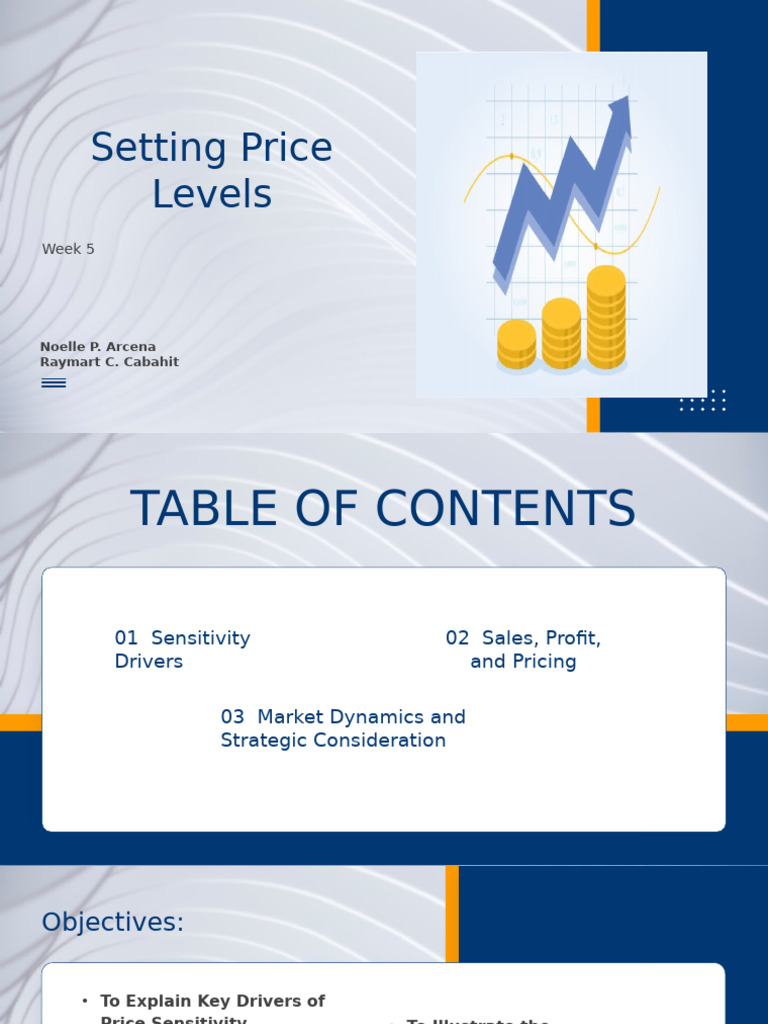 Setting Price Levels | PDF | Pricing | Profit (Economics)