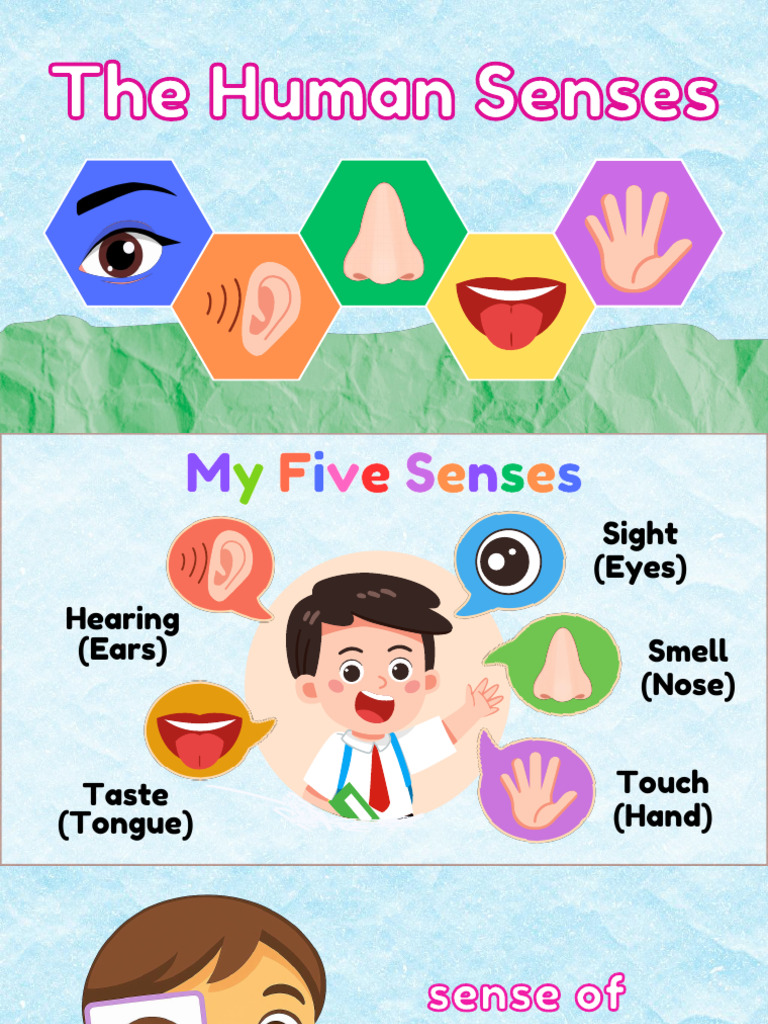 Exploring the Five Senses for Kids | PDF