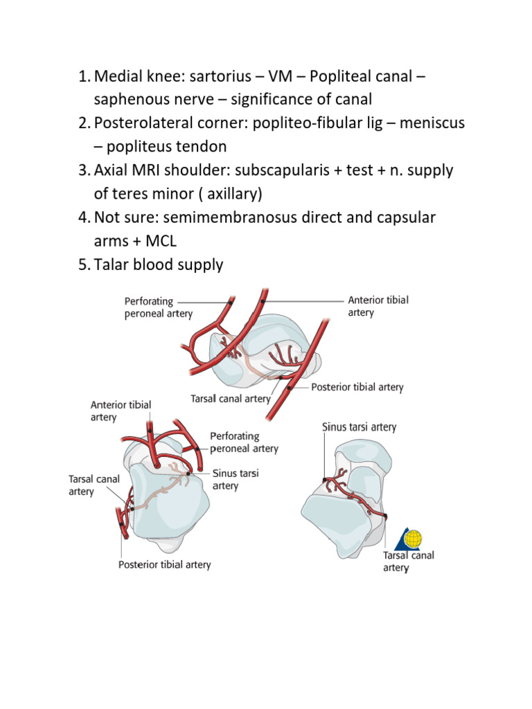 Anatomy and Pathology OSPE May 19 | PDF