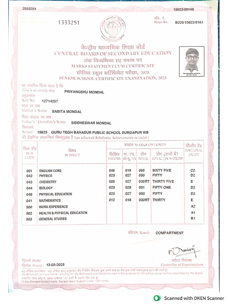 12 MARKSHEET | PDF