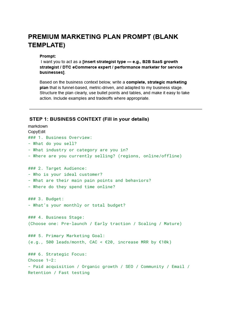 Premium Marketing Plan Prompt (Blank Template) | PDF | Marketing | Business