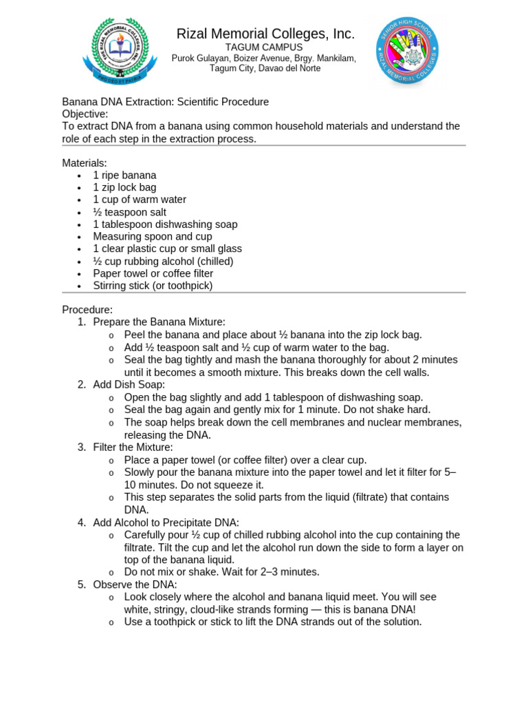 Banana DNA Extraction Scientific Procedure | PDF | Teaspoon | Dna