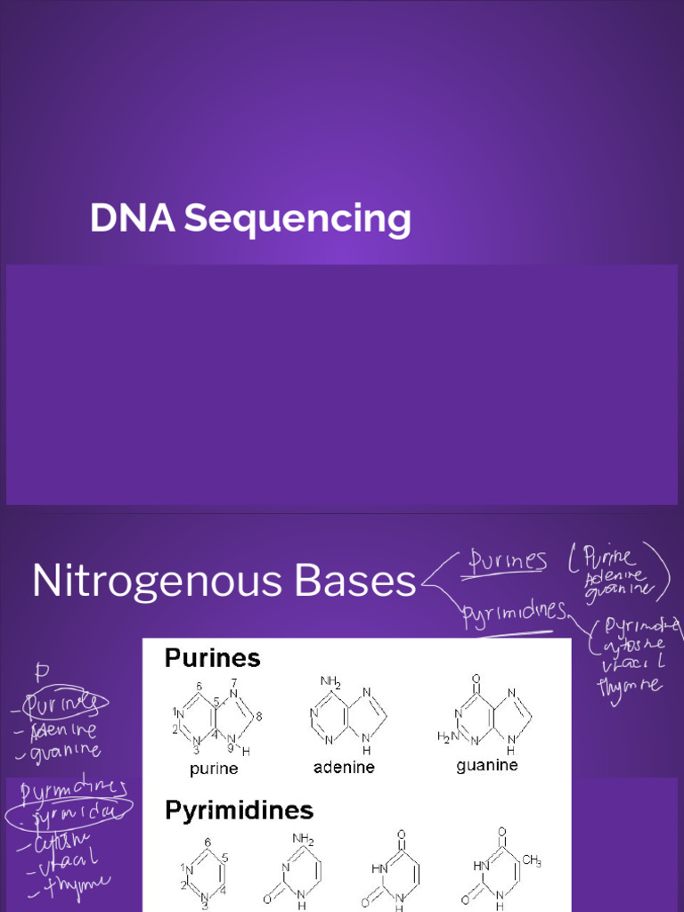 DNA Sequencing Methods | PDF | Dna Sequencing | Nucleotides