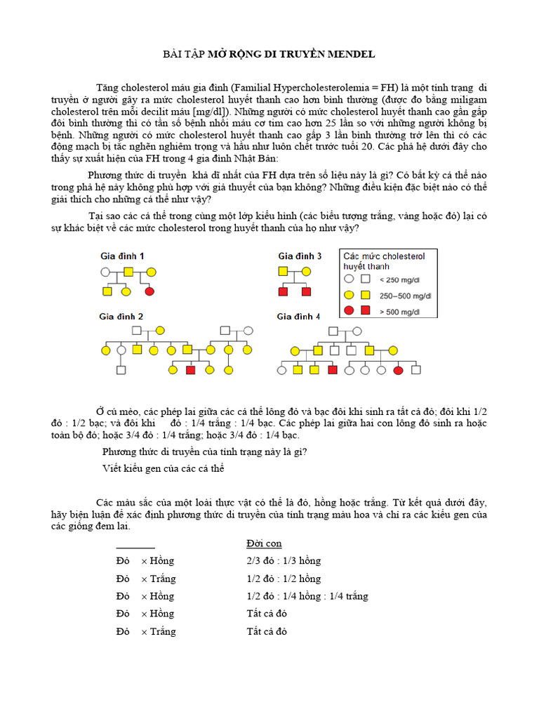 BT c2 M R NG DT Mendel | PDF