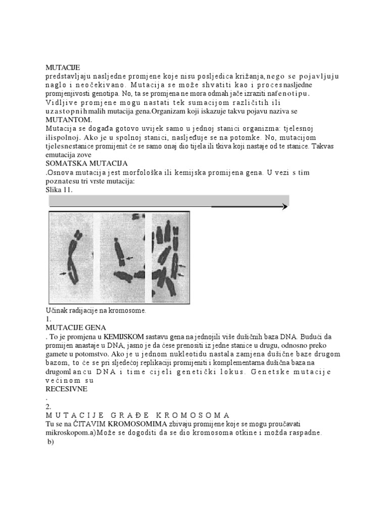 MUTACIJE | PDF