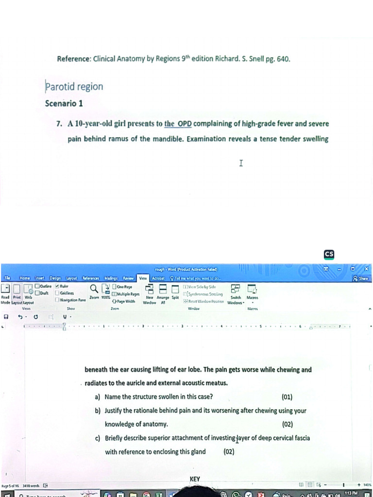 PBQS Block VI Anatomy | PDF