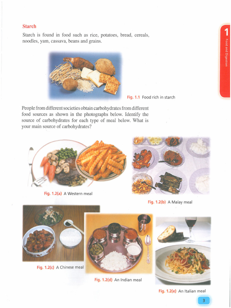 International Lower Secondary Science 3 4 | PDF
