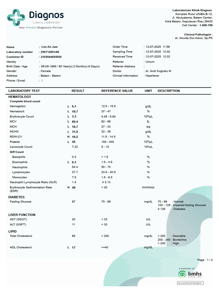 2507120014I0 Lim An Jam | PDF | Medical Specialties | Hematology