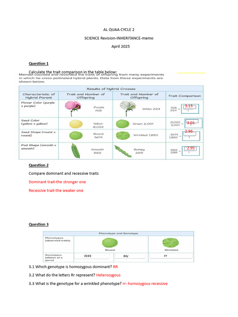 Inheritance Science Revision Memo | PDF